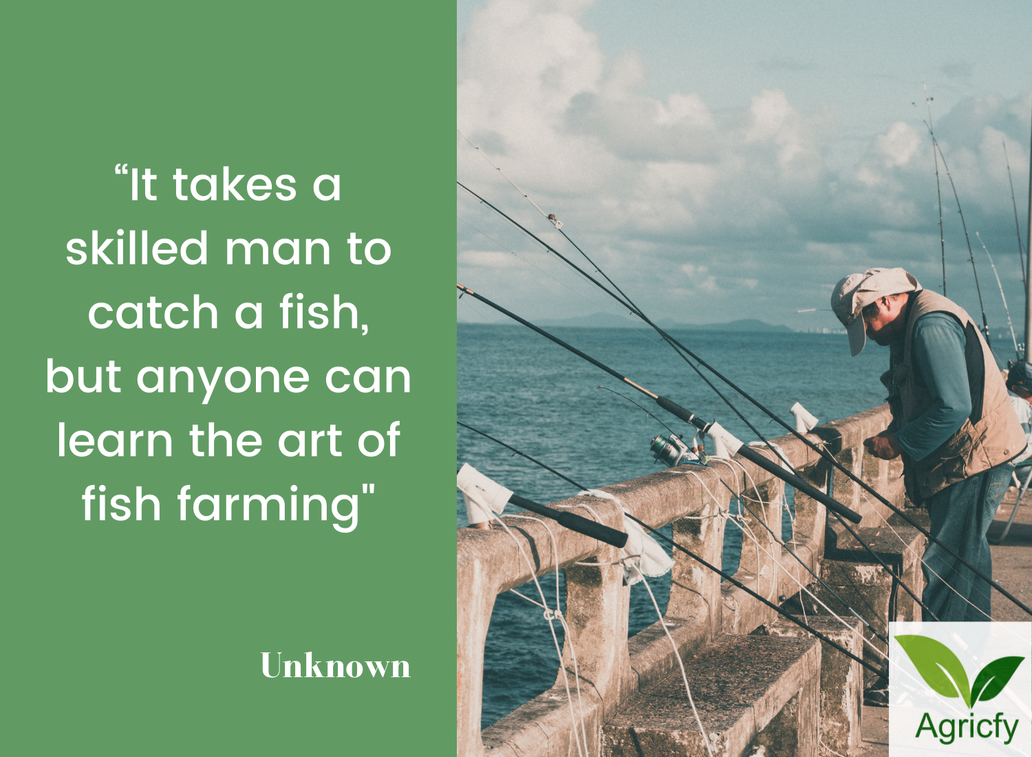 Fish And Catfish Farming Quotes