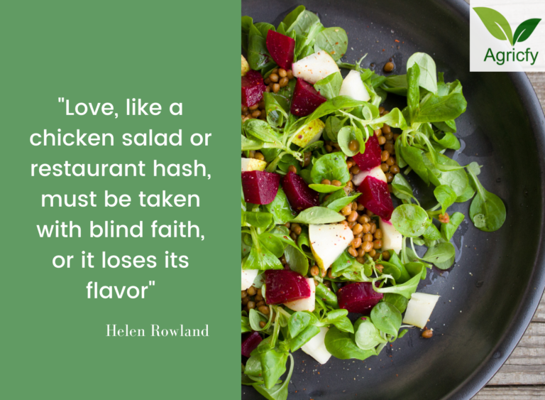 22 Funny Quotes About Chicken