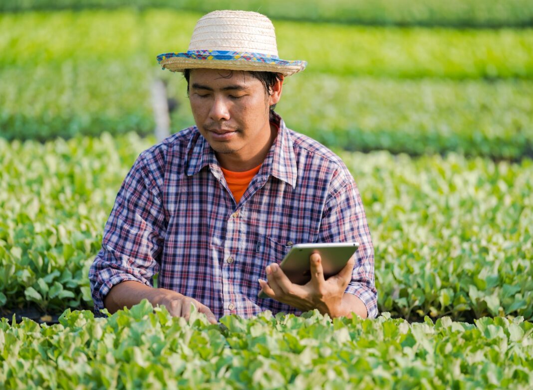6 Reasons Why You Are Not Making Profit On Your Farm