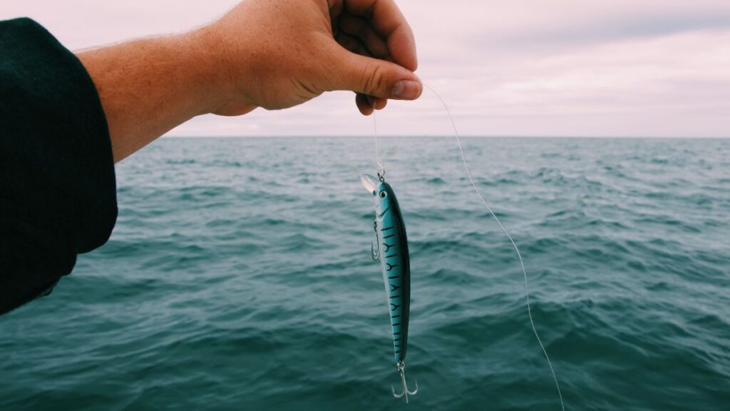 10 Fish Farming Business Ideas You Should Know About. Which Is Best For ...